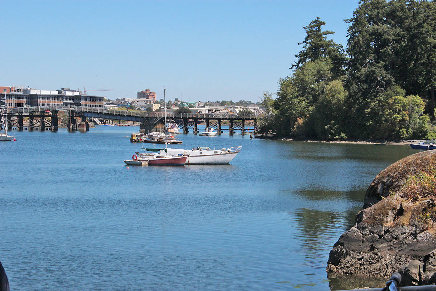 B.C. Supreme Court sets date for city’s hearing on Gorge Waterway ...