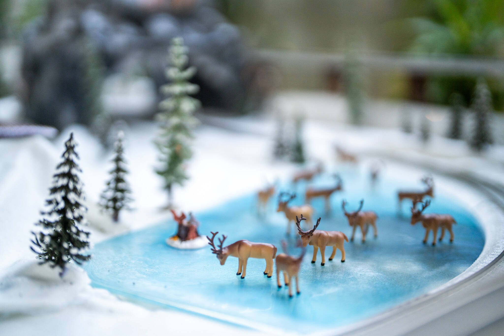 Lego creations help feed students, bring festive cheer to Victoria | Sooke News Mirror