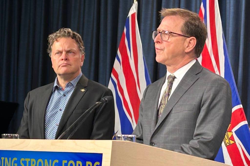 Clean B.C. review urges accelerating energy transition, questions ...