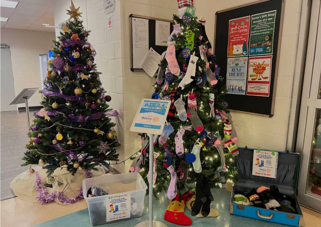 Creative Christmas trees raise funds for sick children at Sooke’s ...