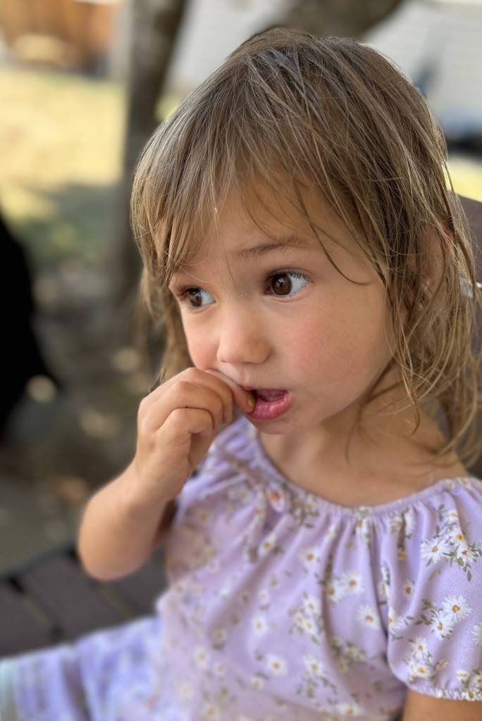 Chilliwack girl, 4, diagnosed with leukemia on Christmas Day | Sooke ...