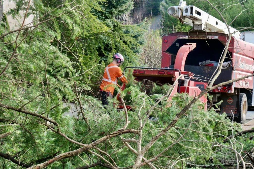 Cleanup begins in Langford after mudslide sends boulders into homes ...